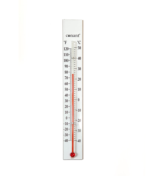 Replacement Insert Card for T1SN & T1LFB Thermometers